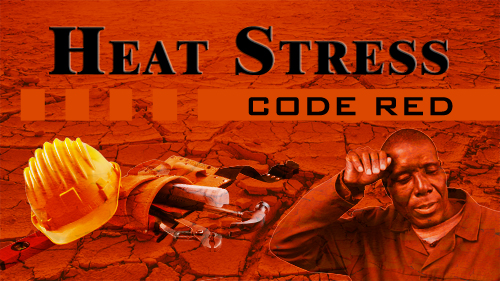 Heat Stress: Code Red