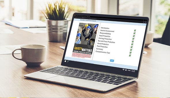 Online Courseware Brochure | dss+ Consulting